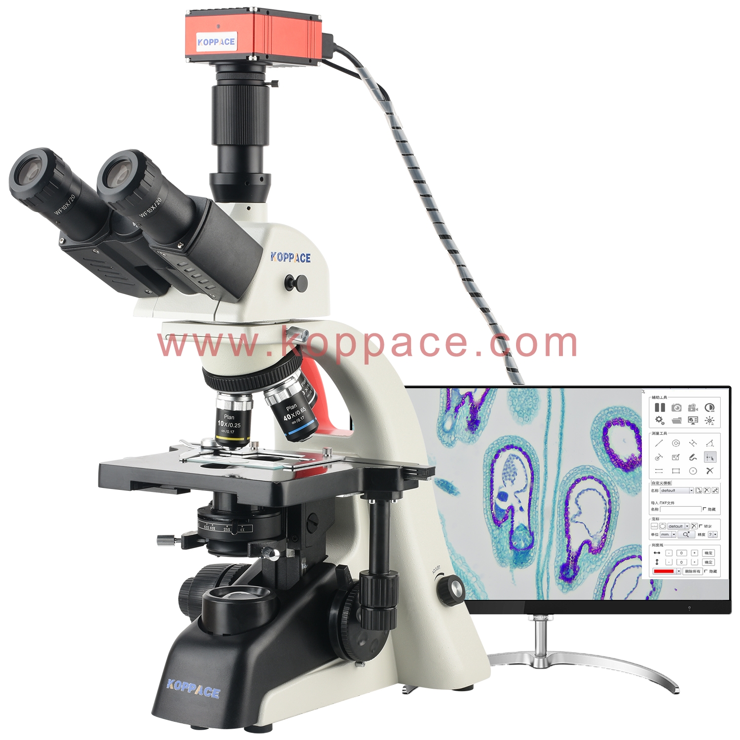 KOPPACE 40X-1600X Trinocular Compound Lab Microscope 2 Million Pixels ...