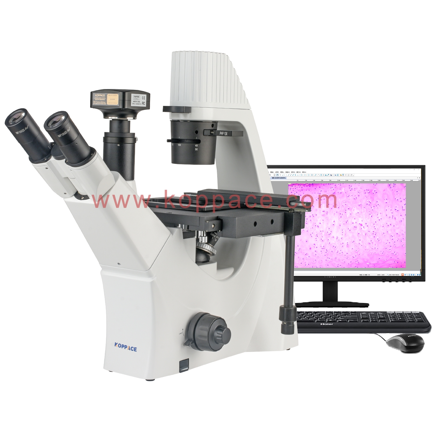 KOPPACE 742X-2968X Inverted Biological Laboratory Microscope Phase ...