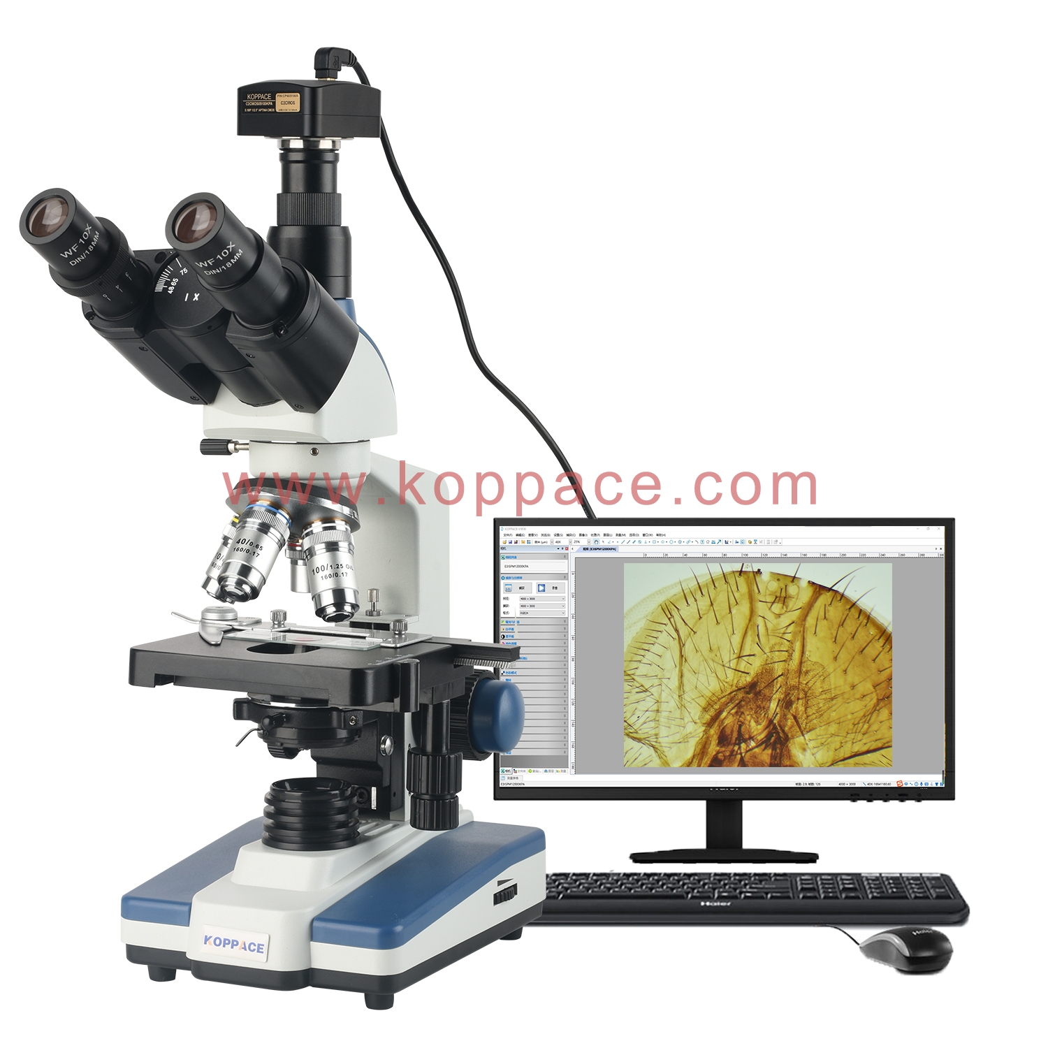 KOPPACE 307X-7690X Electron Compound Lab Microscope 5 Million Pixels ...