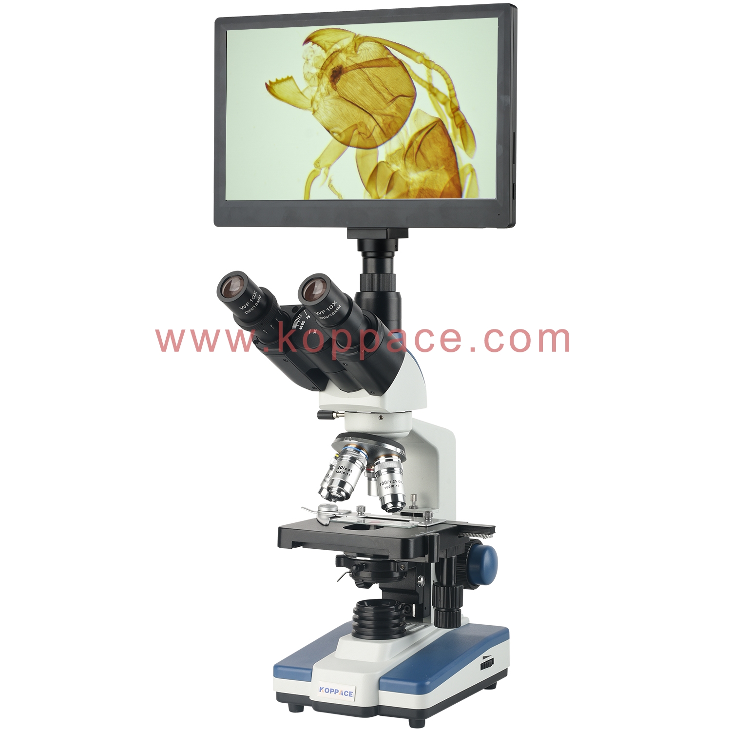 KOPPACE 40X-2500X Electron Compound Lab Microscope 2 Million Pixels 11. ...