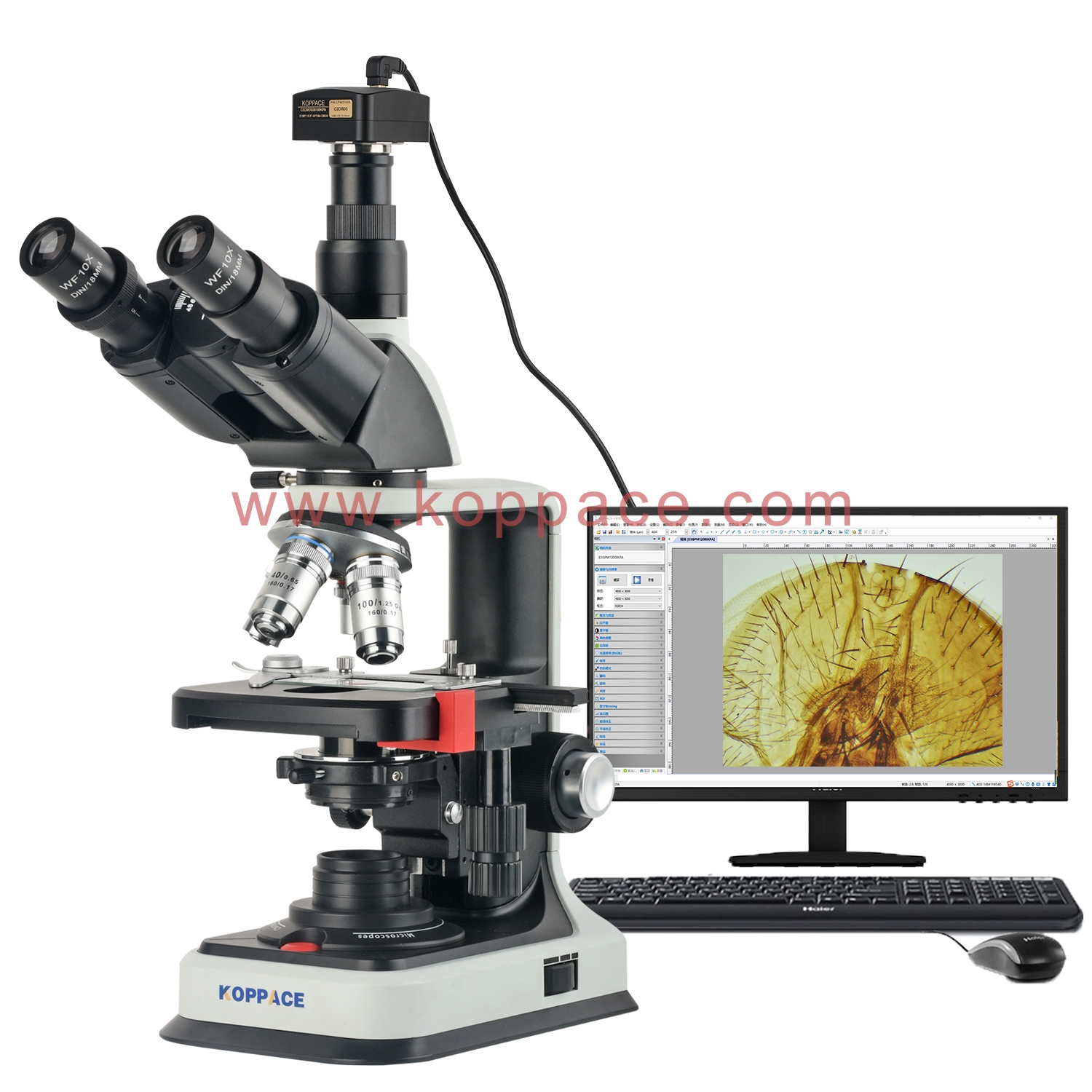 KOPPACE 40X-2500X Electron Biological Microscope 5 Million Pixels USB2 ...