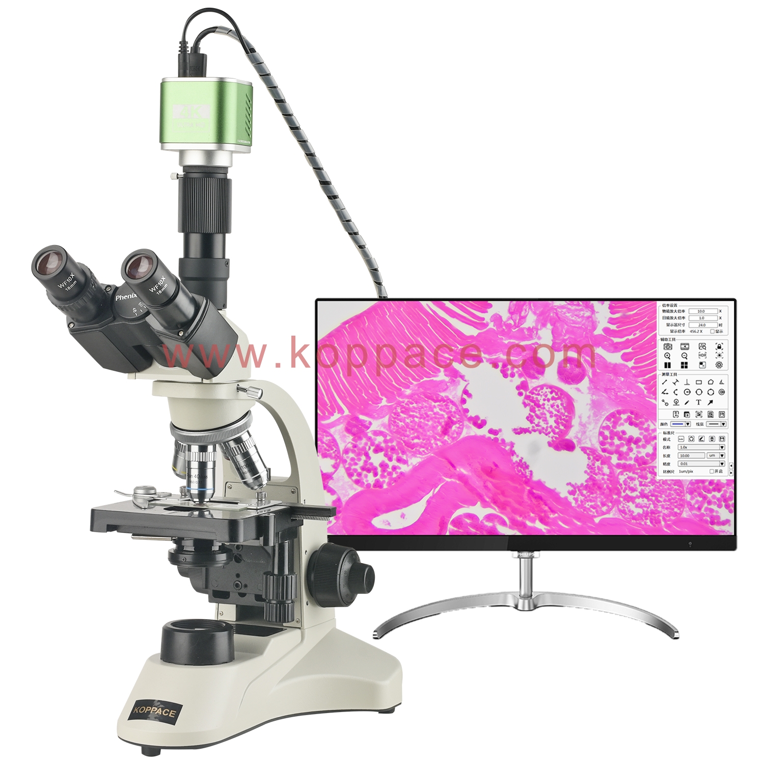 KOPPACE 309X-7740X Trinocular Compound Lab Electron Microscope 8.3 ...