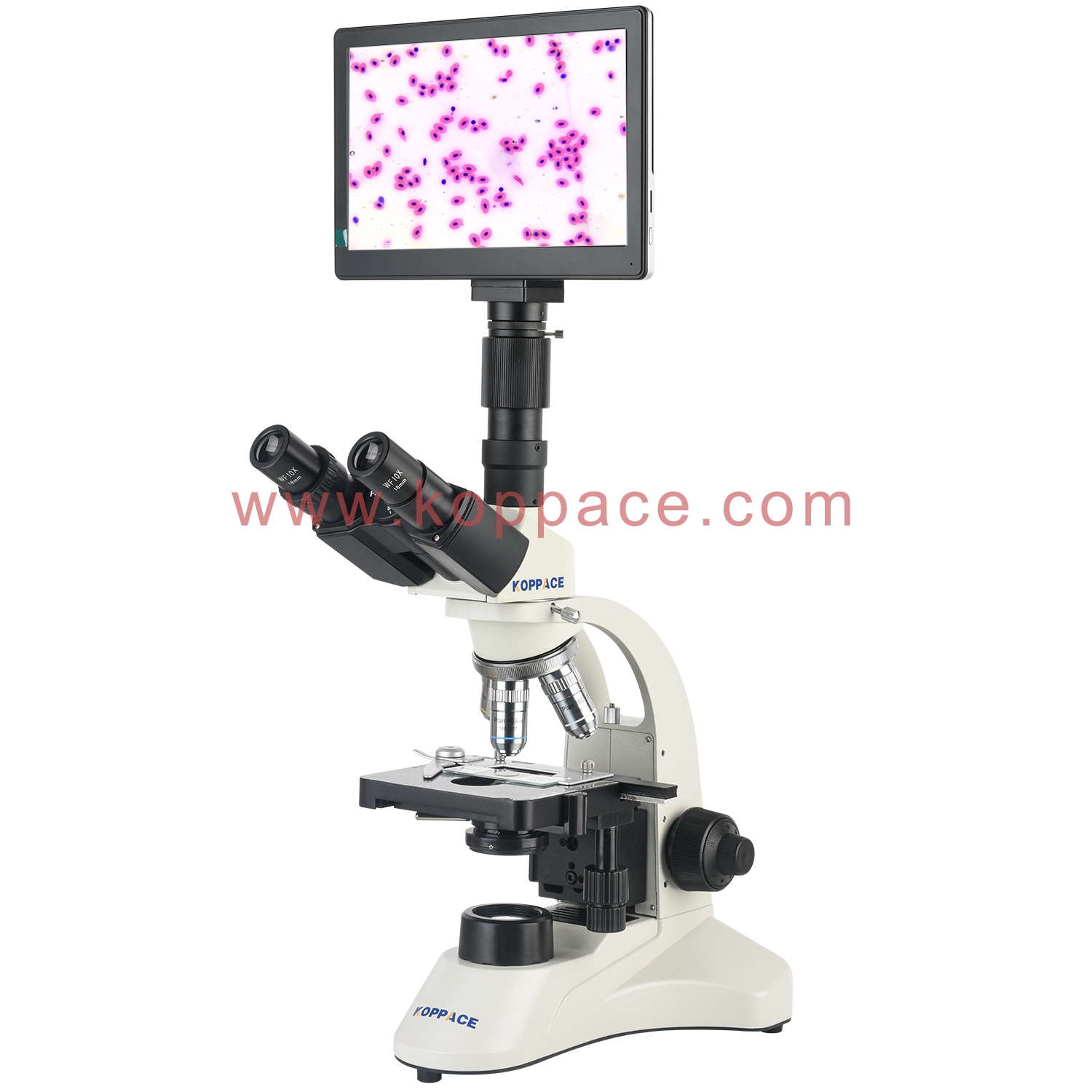 KOPPACE 40X-1600X Electronic Biology Laboratory Microscope 2 Million ...