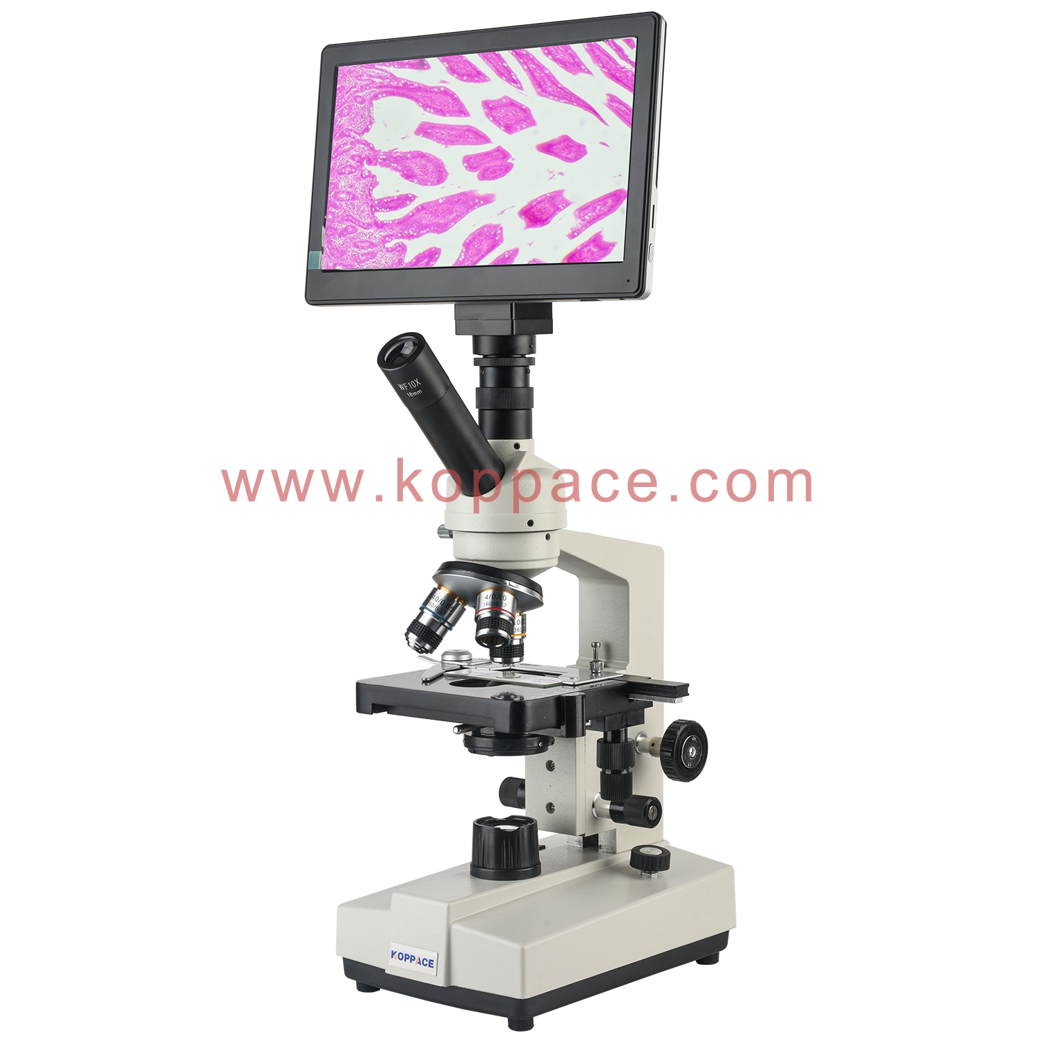 KOPPACE 140X-1400X Electronic Biology Laboratory Microscope 2 Million ...